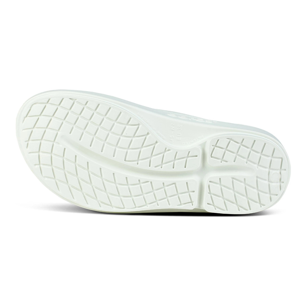 OOFOS Ooahh Slide – Box Basics